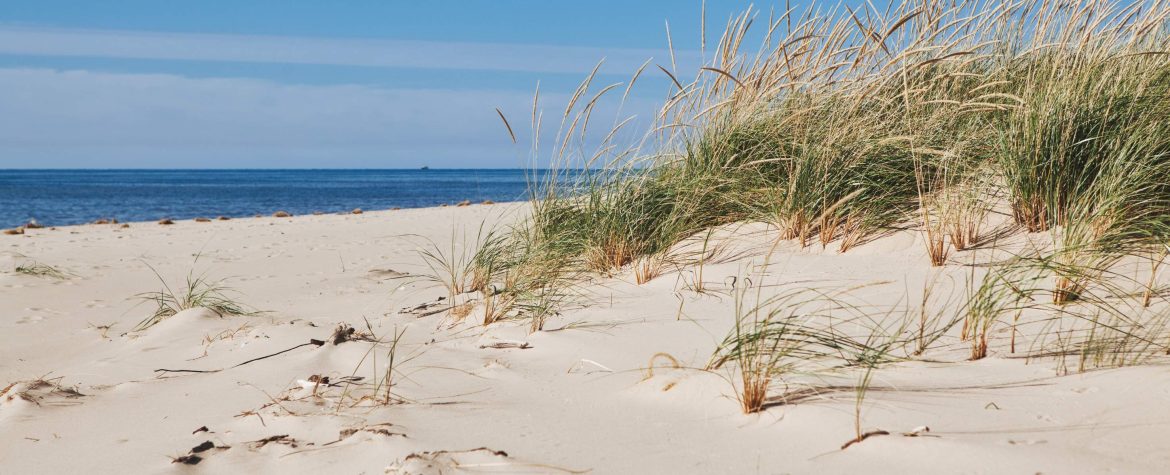 4 Great Beaches in Eastern Michigan to Visit - Freshwater Vacation Rentals